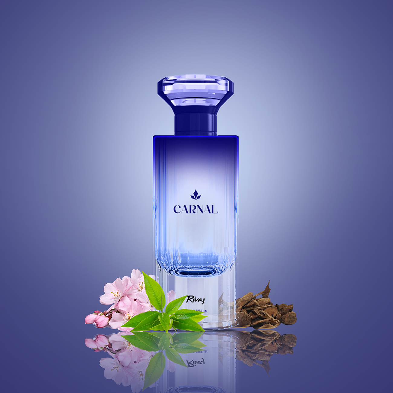 Rivaj Carnal Men Perfume 75ml – RIOS